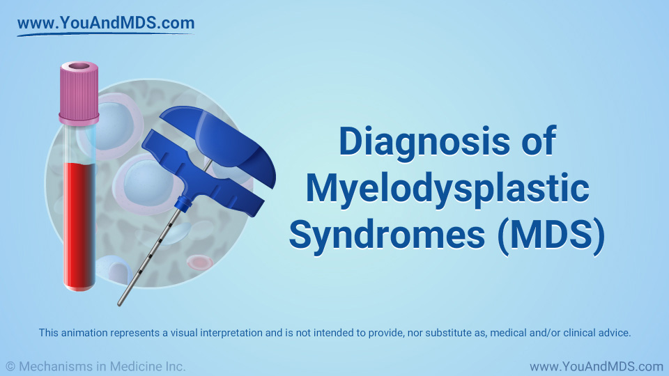Animation - Diagnosis of MDS