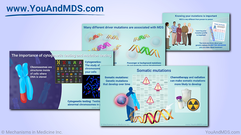 Slide Show - Understanding Genetic Mutations in Myelodysplastic ...