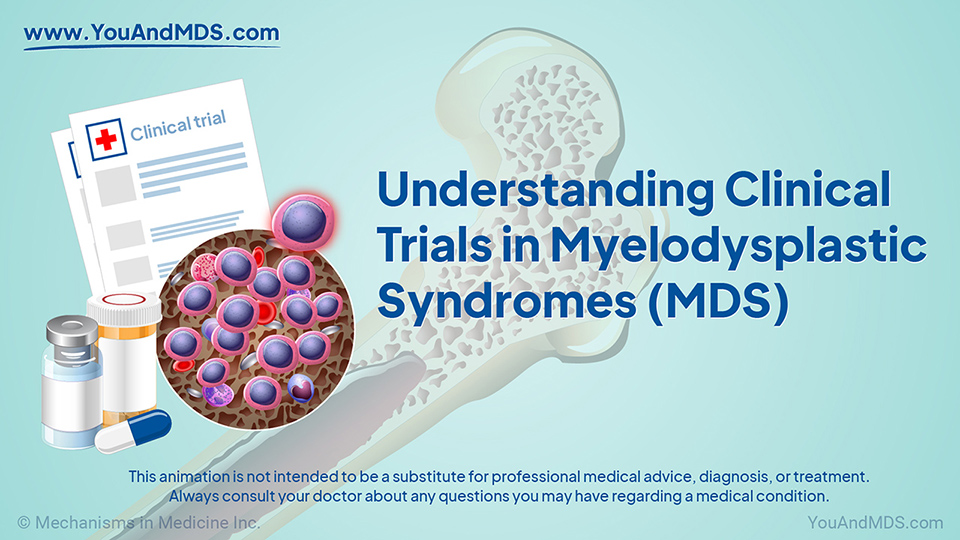 Animation - Understanding Clinical Trials in Myelodysplastic Syndromes ...