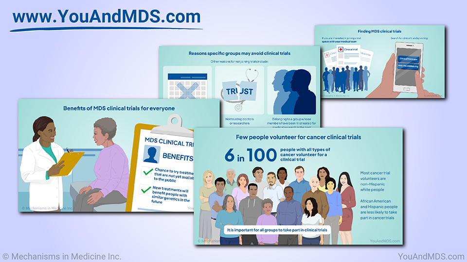Slide Show - Including Everyone in Clinical Trials for Myelodysplastic ...